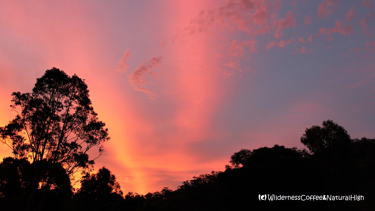 Aurora Solaris - The sunset version of northern lights