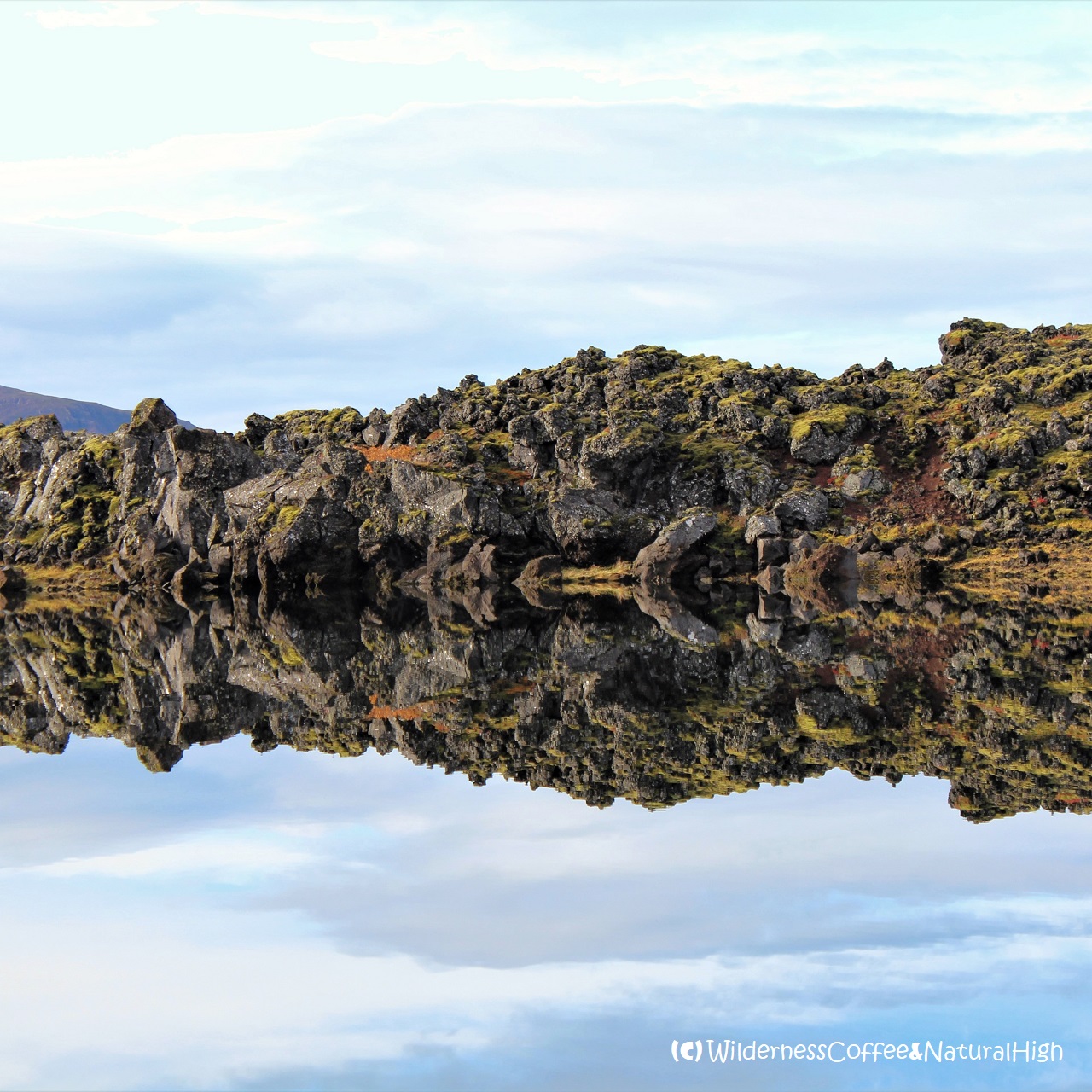 The Art of Nature - Natural abstract painting & contrasts